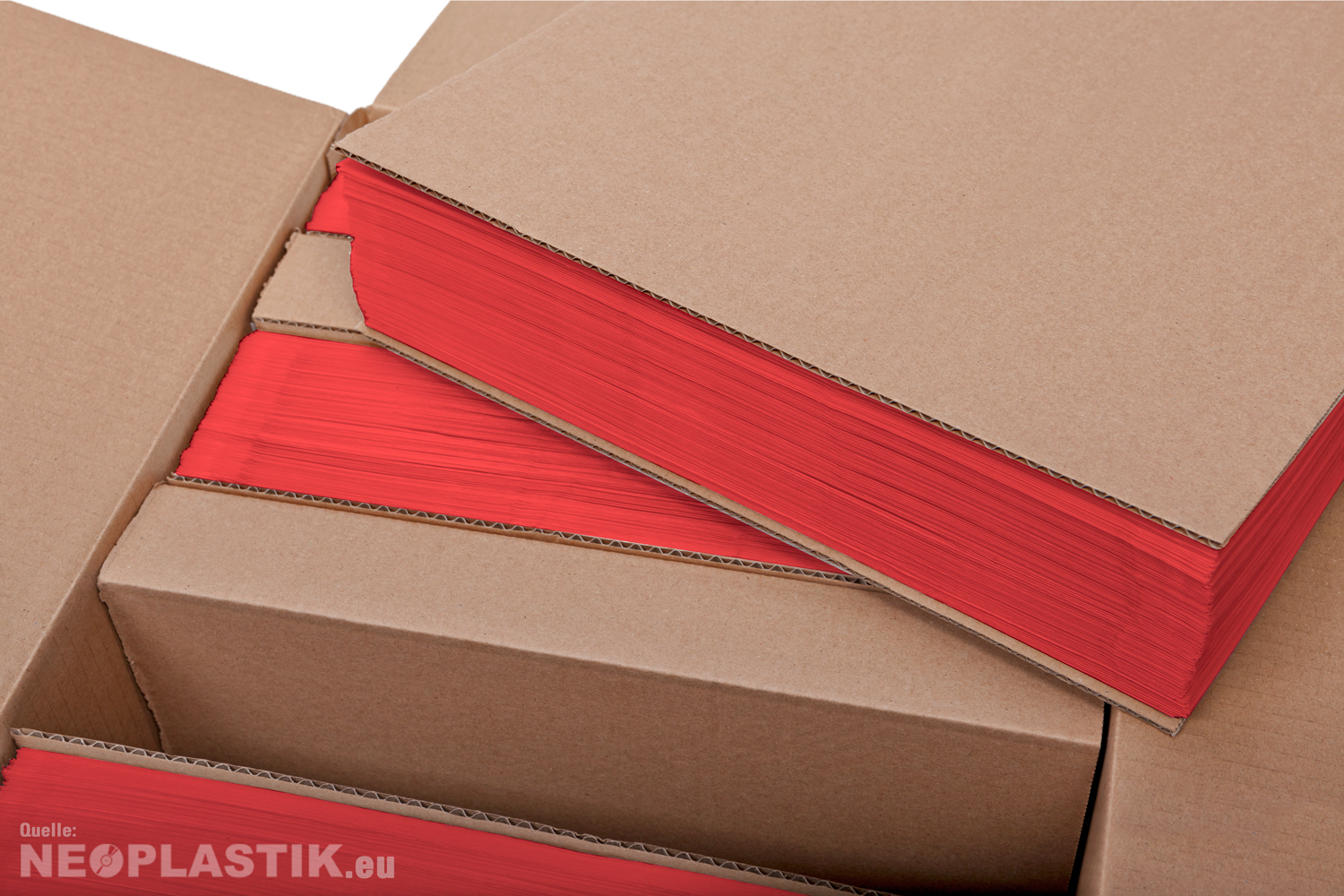 Neoplastik